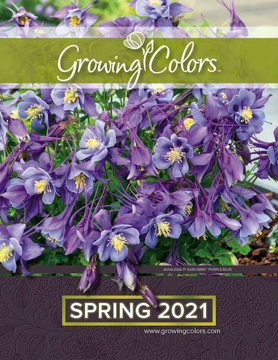 2021 Spring Catalog Flip Book