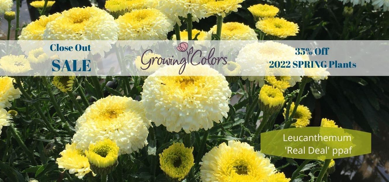 Growing Colors™